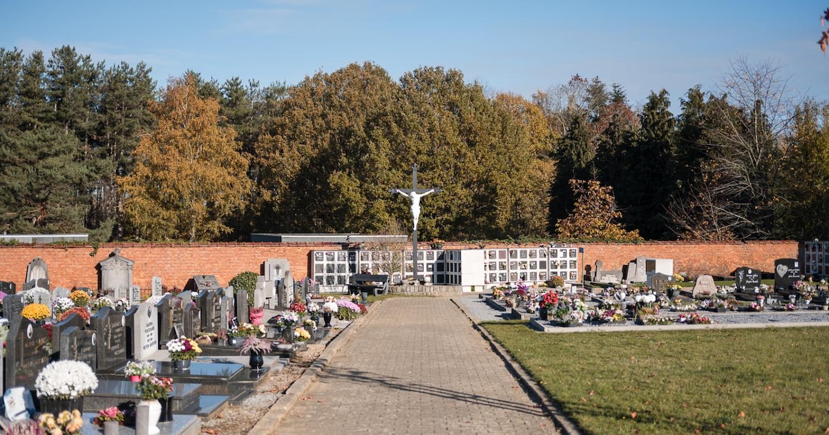 Meer dan 180 graven op begraafplaats Molenstede worden aangepakt ...