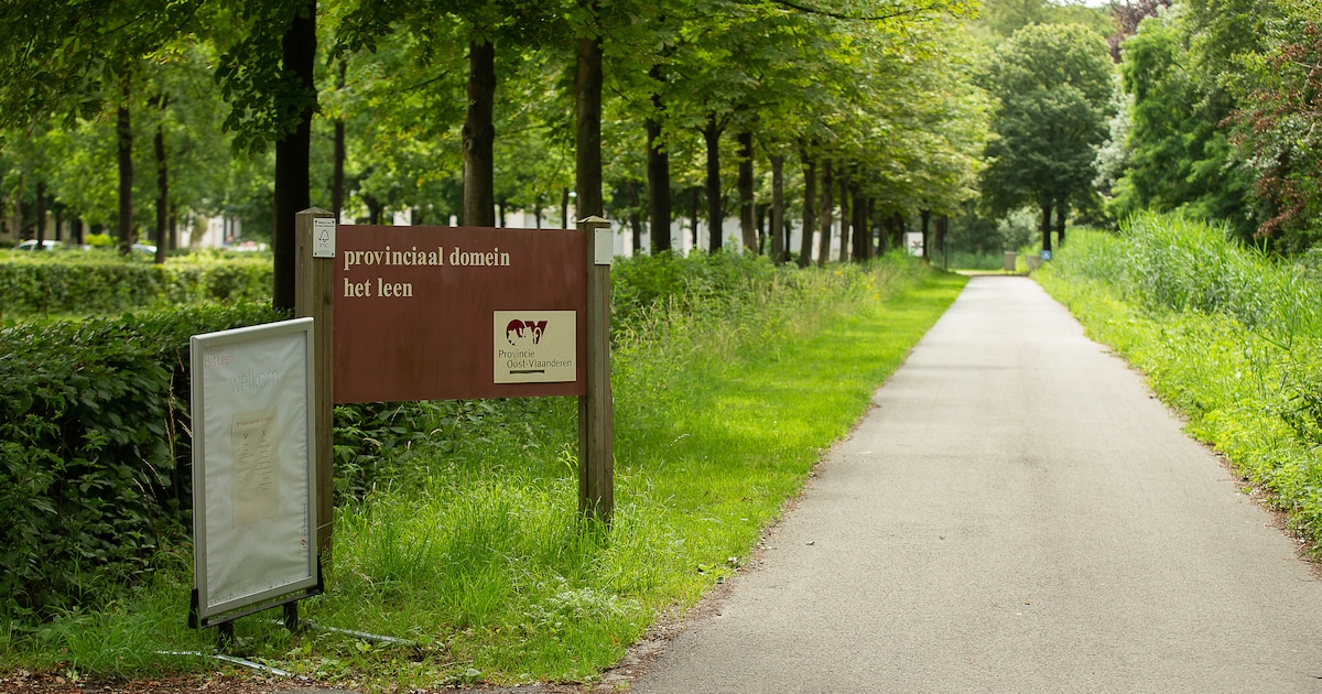 Speel er op Bos: zondag picknicken en ravotten in Het Leen | Eeklo | HLN.be
