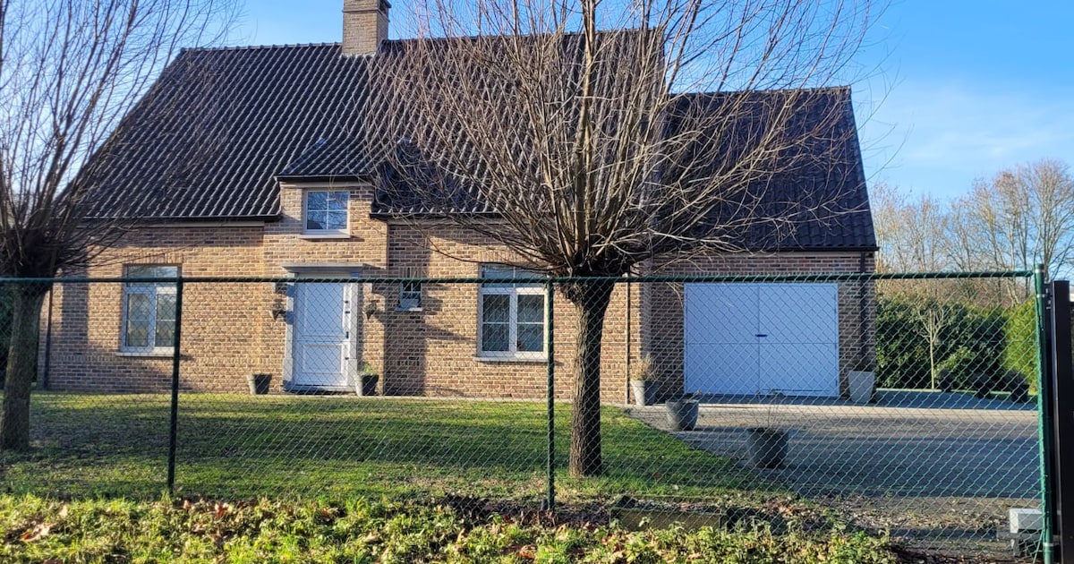Cannabisplantage met 550 planten ontdekt in kelder van woning in ...