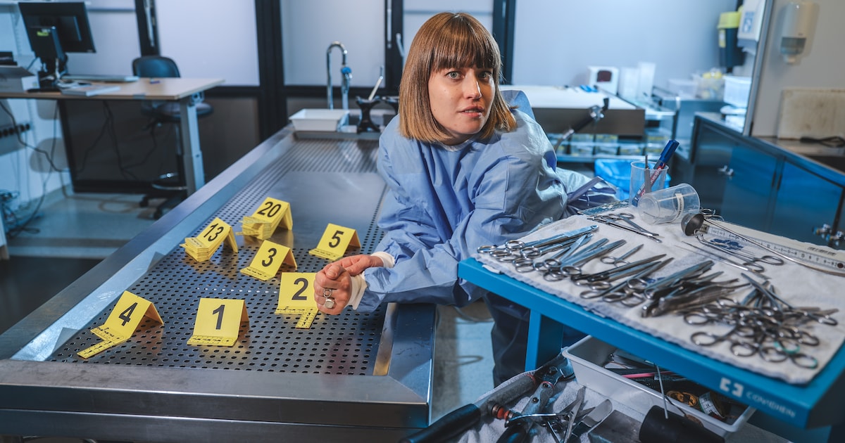 Babette (30) is de jongste wetsdokter van het land: “Een lichaam in ...