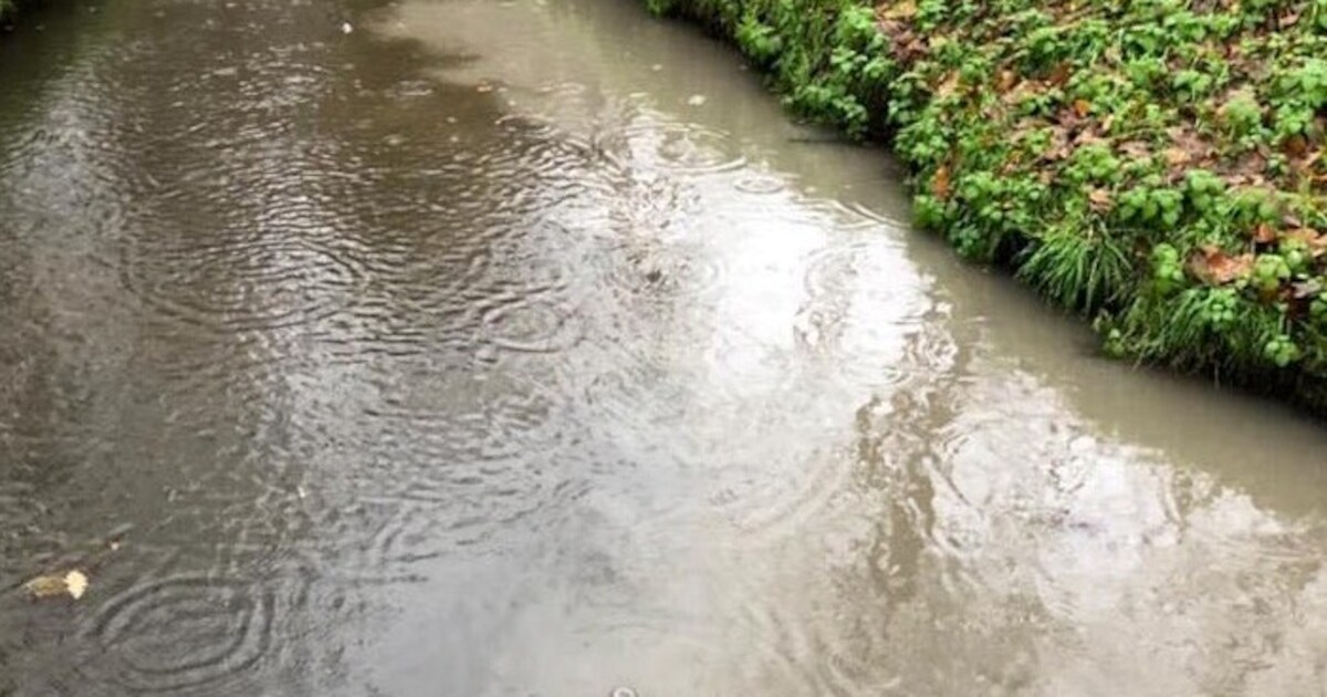 Opnieuw vervuiling in Bosbeek in Boomse park | Boom | HLN.be