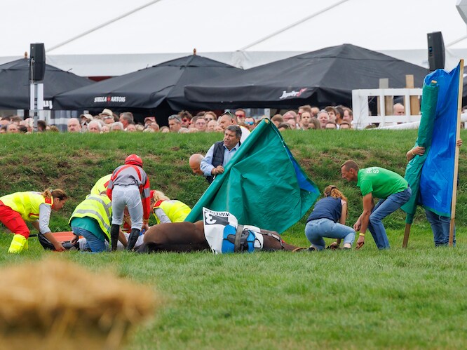 Callens Group neemt afscheid van stichter Willy Callens: “Zijn durf als ...