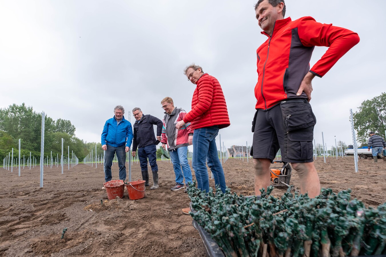 Nieuw Klein-Brabants wijndomein heet ‘Coninckxbeeck’: “Mikken op eerste ...
