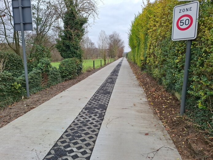 Wandelpad in natuurpark Slagvijver krijgt vorm: “Enkel vlonderpad moet ...