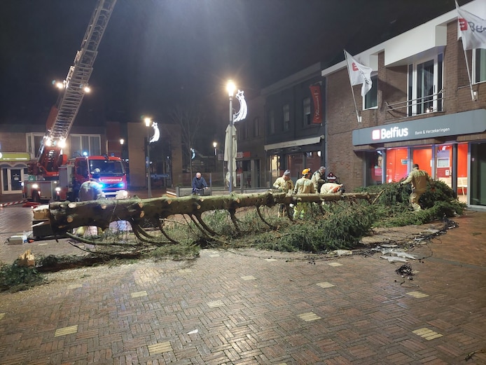 KIJK. Windstoot velt nu ook kerstboom in Brakel: “Gelukkig zijn er geen ...