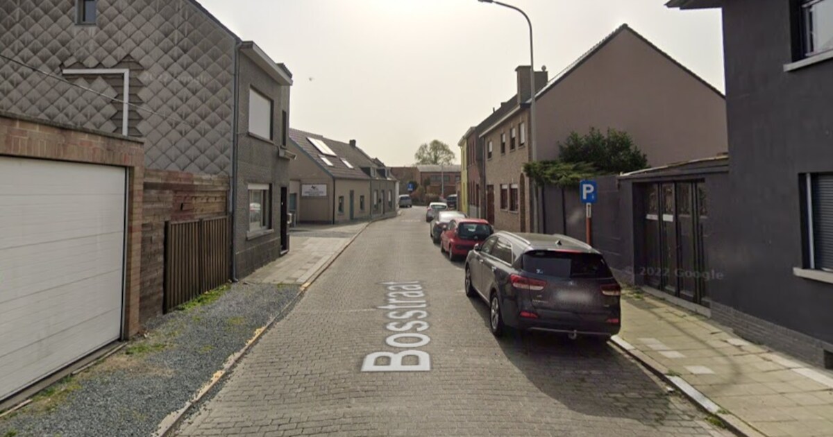 Bosstraat vanaf maandag afgesloten door werken | Denderleeuw | HLN.be
