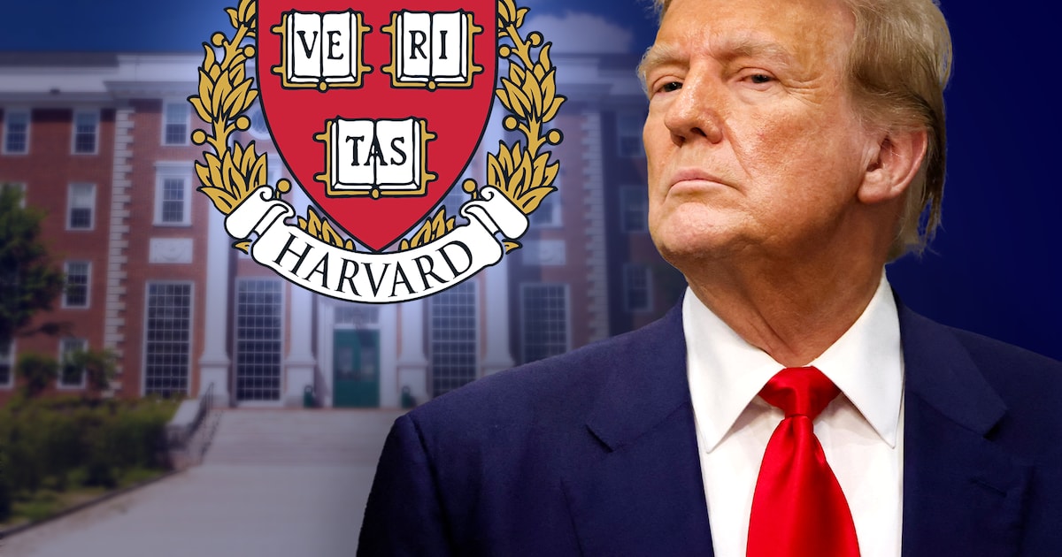 Prestigieuze Harvard-universiteit klaagt regering Trump aan: “Ongekende ...
