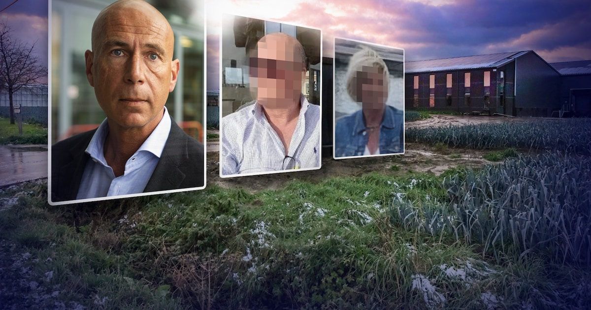 ‘Eigen kweek’, maar dan in het echt: landbouwersgezin én ex-topadvocaat ...