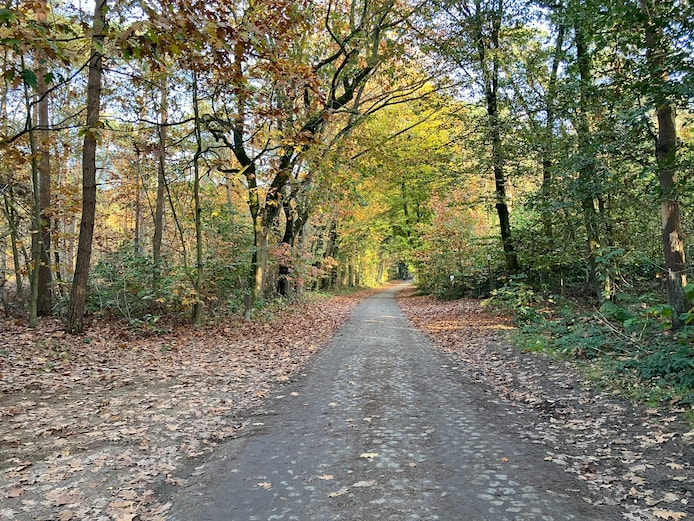 Het Oosteeklo van Daniël Cornelis (62), voorzitter van de Orde van de ...