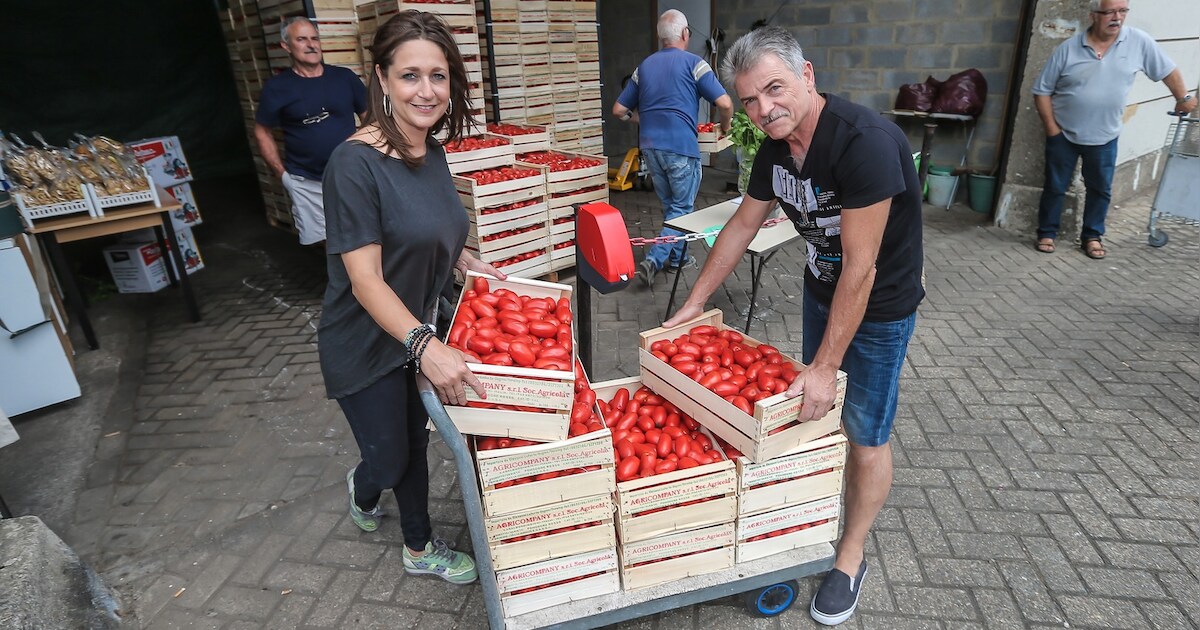 110 kilogram Italiaanse tomaten? Komt in orde! | Genk | HLN.be