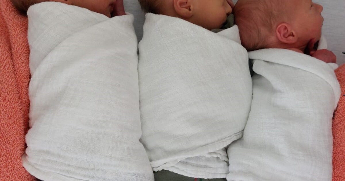 Wichelen is drieling rijker: familie Michiels verwelkomt Cyriel, Jules ...