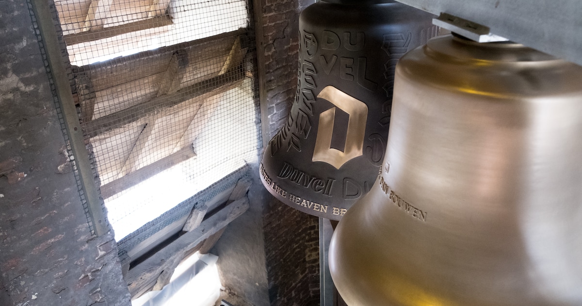 Beiaardvereniging trakteert op reeks gratis beiaardconcerten | Puurs-Sint-Amands | HLN.be