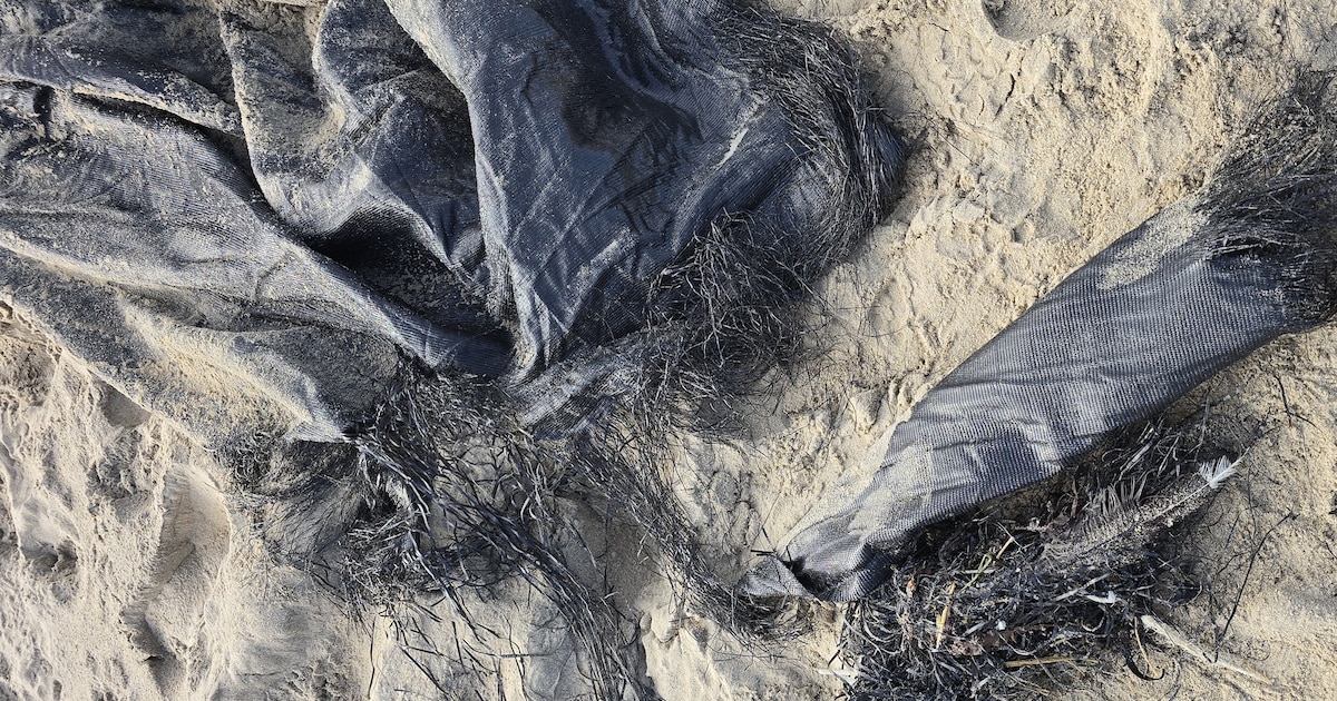 Proper Strand Lopers reageren op uitspraken rond doeken op het strand ...