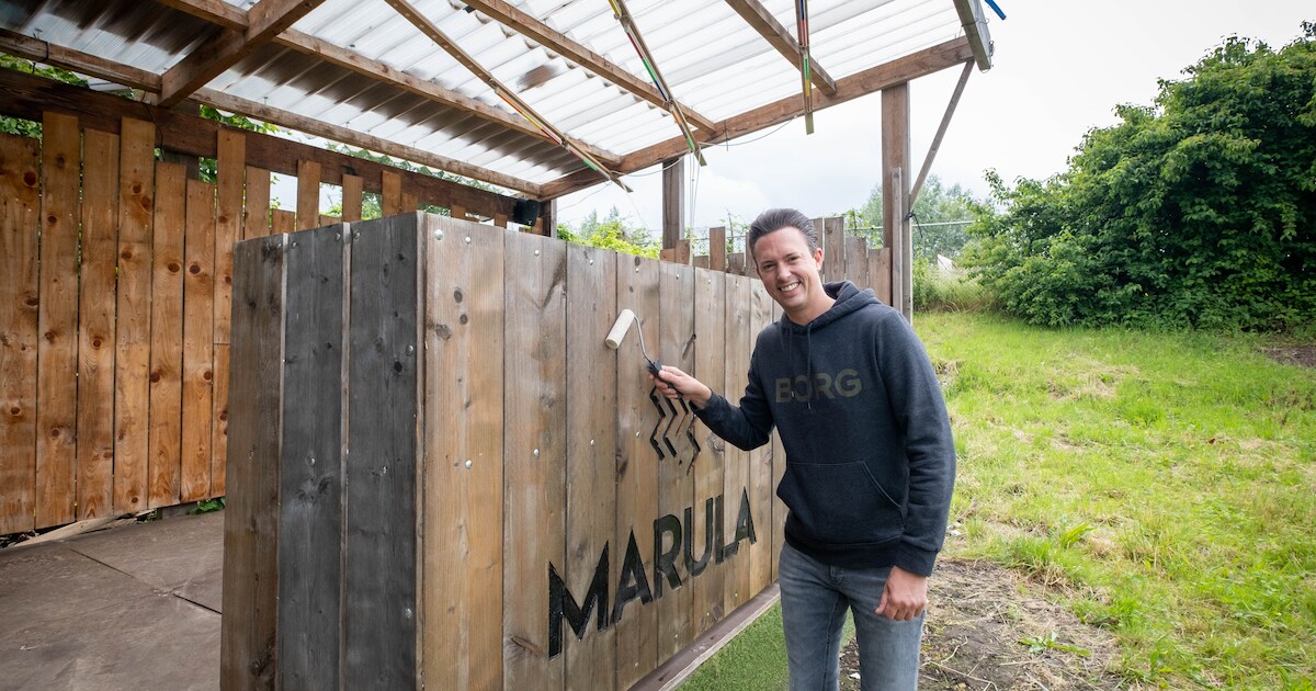 Zomercafé Rupel palmt tweede jaar op rij Rupeldijk in: “Gaan voor ...