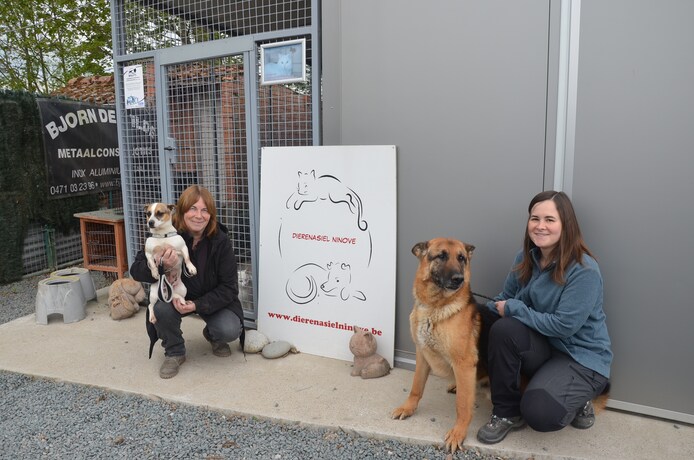 Verkoopactie voor Dierenasiel Ninove in Merelbeke, maar uitbaters weten van niets en waarschuwen ...