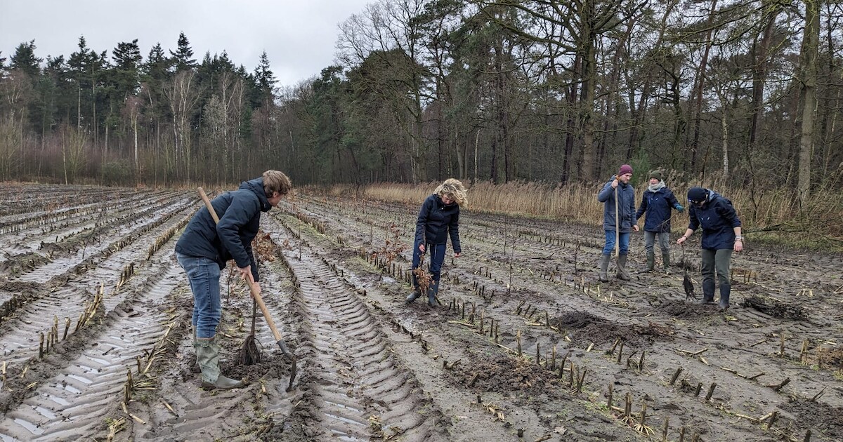 Extra bomen geplant aan Hospicebossen: “Elke hectare telt in deze ...