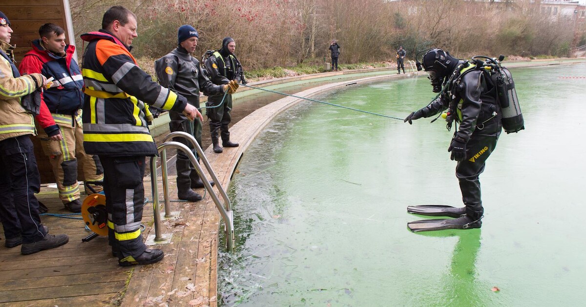 Duikteam oefent onder het ijs (en schuift uit op het ijs) | Antwerpen ...