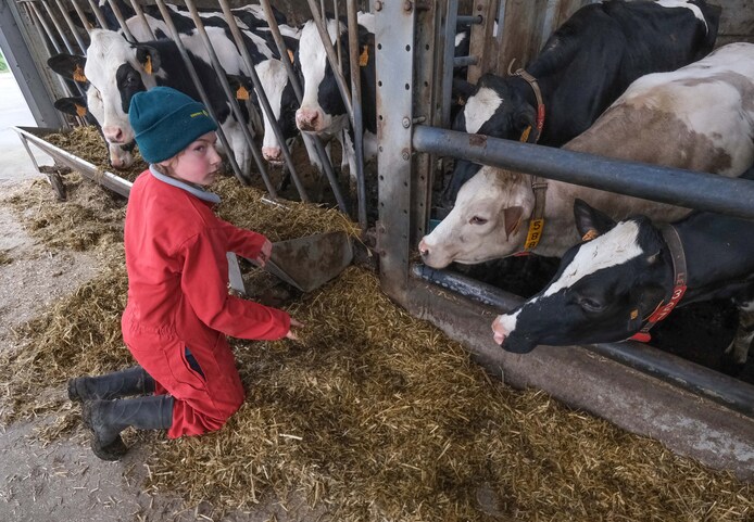 MIJN DORP. Het Woesten van ‘Boer zkt Vrouw’-deelnemer Thomas Leplae (30 ...