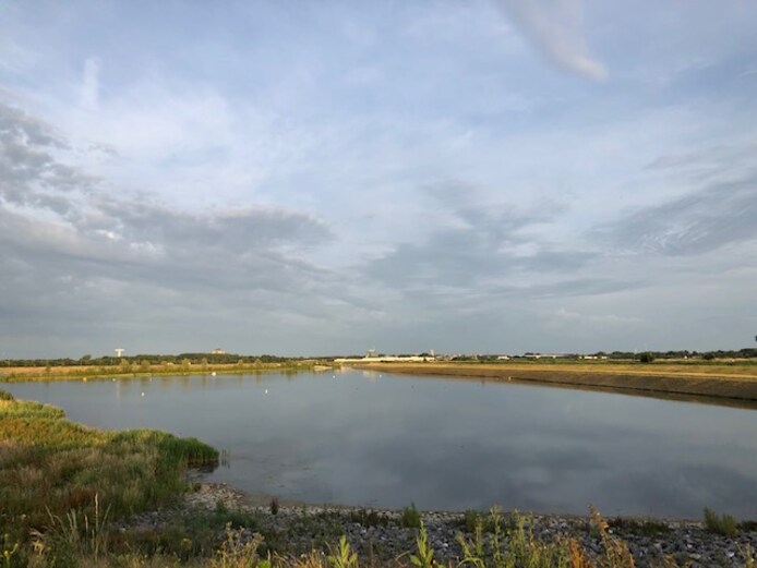 “Zo jammer van die enorme muur”: stad wil storende bedrijven verstoppen ...