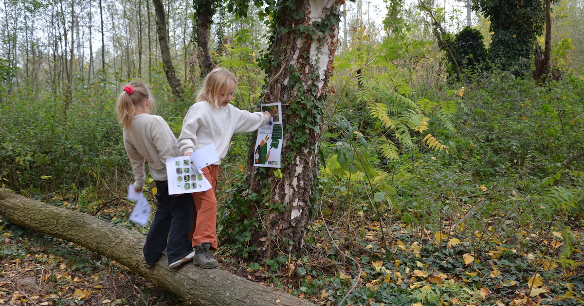 Wandel, speur en win misschien een horecabon: Davidsfonds organiseert ...