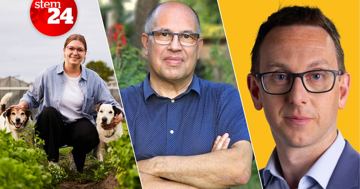 Alles wat je moet weten over de verkiezingen in Sint-Katelijne-Waver ...