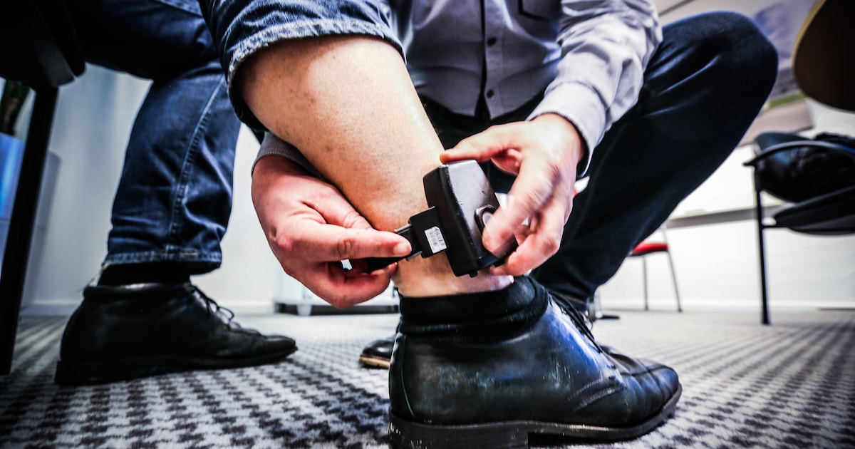 Vlaanderen plaatst voor het eerst meer dan 5.000 enkelbanden op een ...