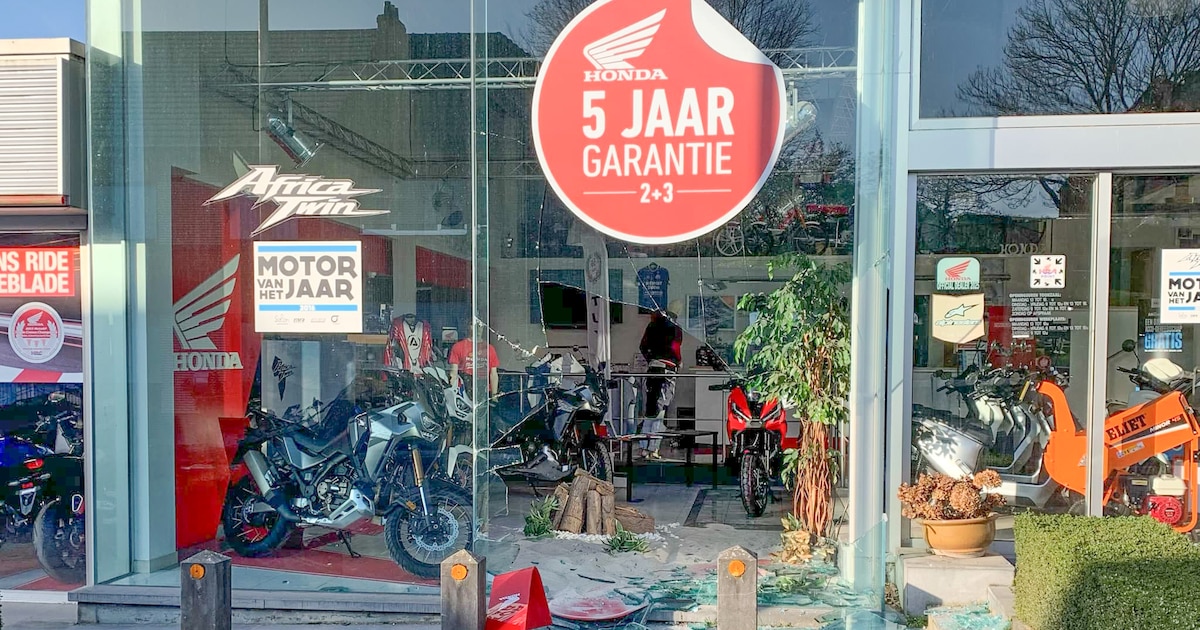 Dieven stelen zes crossmotoren bij Honda Tuybens in Velzeke: “Duidelijk ...