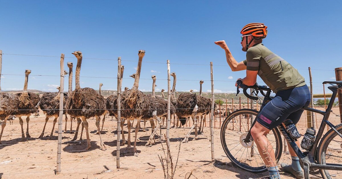 Van Cape Epic tot eigen fietsreizen: ‘Den Beer van Nieuwmoer’ deelt ...