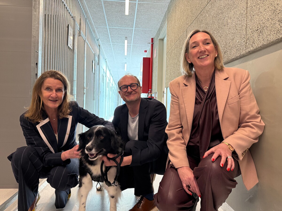Luxueus dierenasiel van 4,3 miljoen euro opent de deuren in Knokke ...