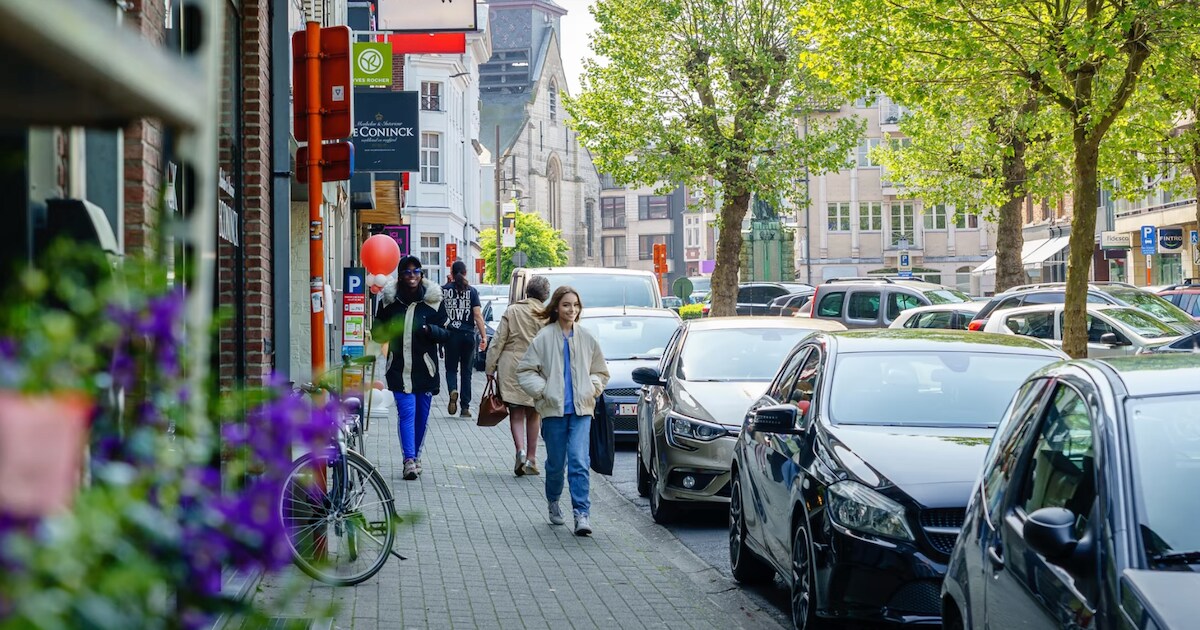 Zottegem komt in december met omgevingsplan voor Heldenlaan: “Het ...
