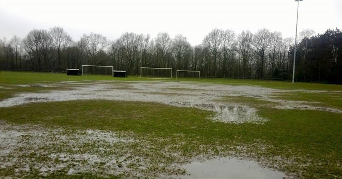 Eindelijk nieuwe grasmat voor KFC Putte | Putte | HLN.be