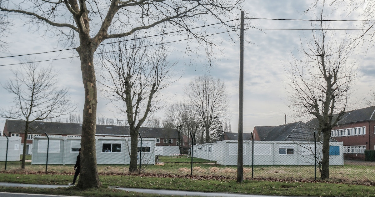 Vorming rond de asielprocedure in bib van Ieper: “Welke stappen moet je ...