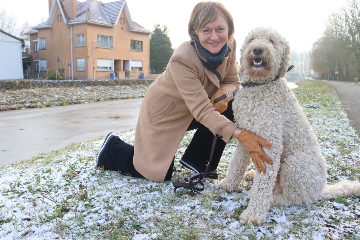 Viviane redt hond Oscar uit ijskoude Stekense Vaart: “Ik zwom naar hem ...