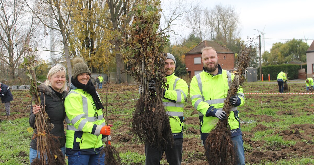 Gemeente vraagt input van inwoners voor invulling koppelingsgebied ...
