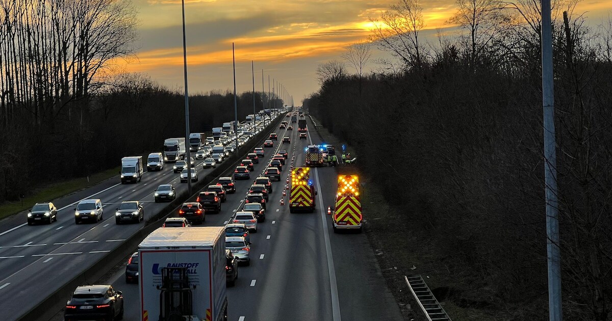 Bestuurder moet uitwijken en raakt van de weg af op E40 in Wetteren ...