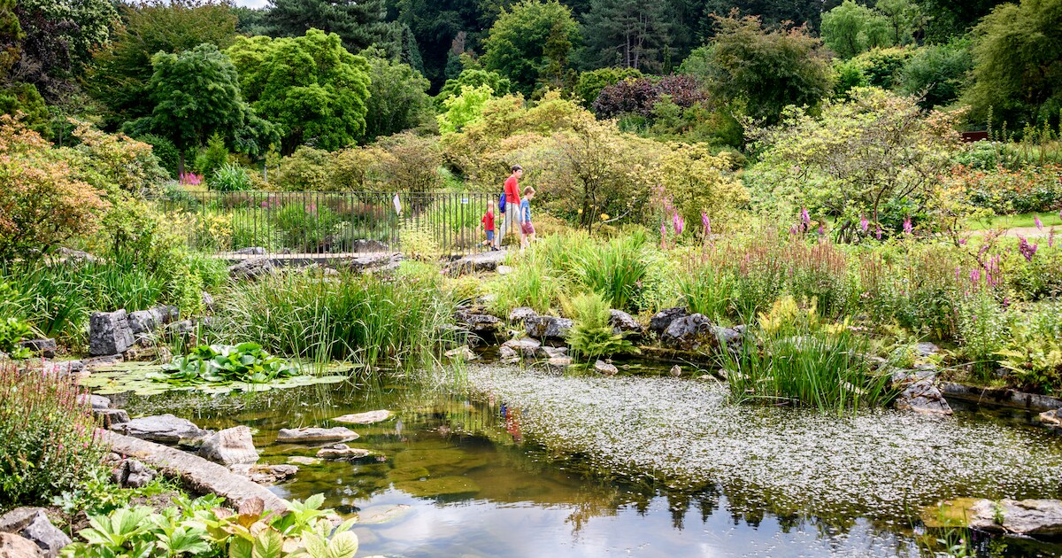 Rotstuin van Huizingen wint prijs voor historische tuinen | Beersel ...