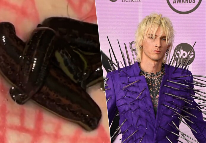Zanger Machine Gun Kelly laat bloedzuigers op buik kruipen: “Mijn beste ...