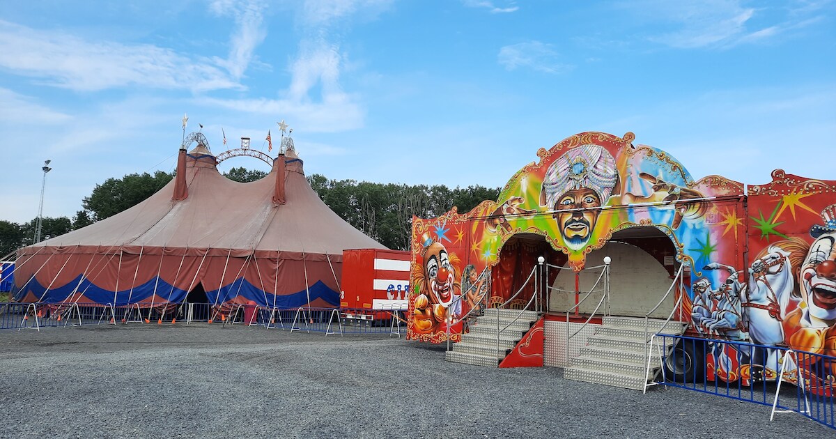 Circus Vegas komt naar Harelbeke | Harelbeke | HLN.be