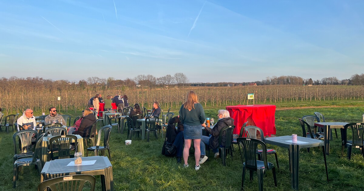 Opening nieuw troostpad met zintuigwandeling op 27 april | Aarschot ...