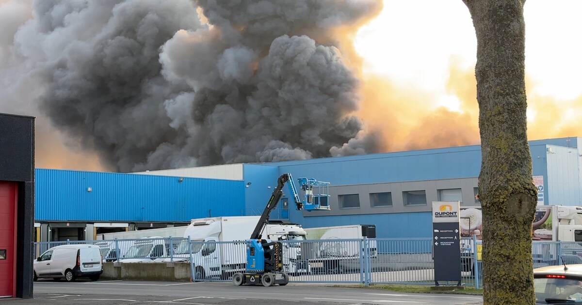 Verschillende Brugse scholen blijven maandag dicht door asbestbrand ...