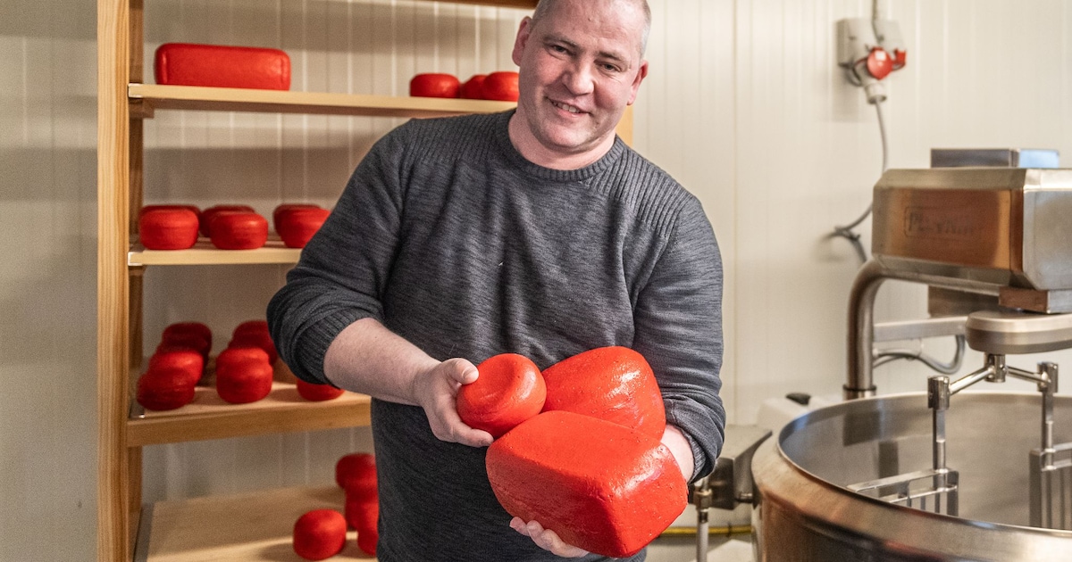 Kaasmeester Andy (45) maakt ‘carnavalskaas’: “Met evenveel pit als de Voil Jeanet” | Aalst | HLN.be