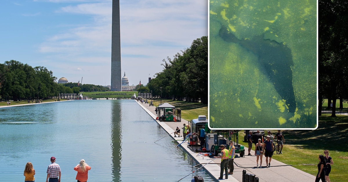 14 miljoen dollar later... en Trumps ‘vlagblauwe’ spiegelvijver kampt ...