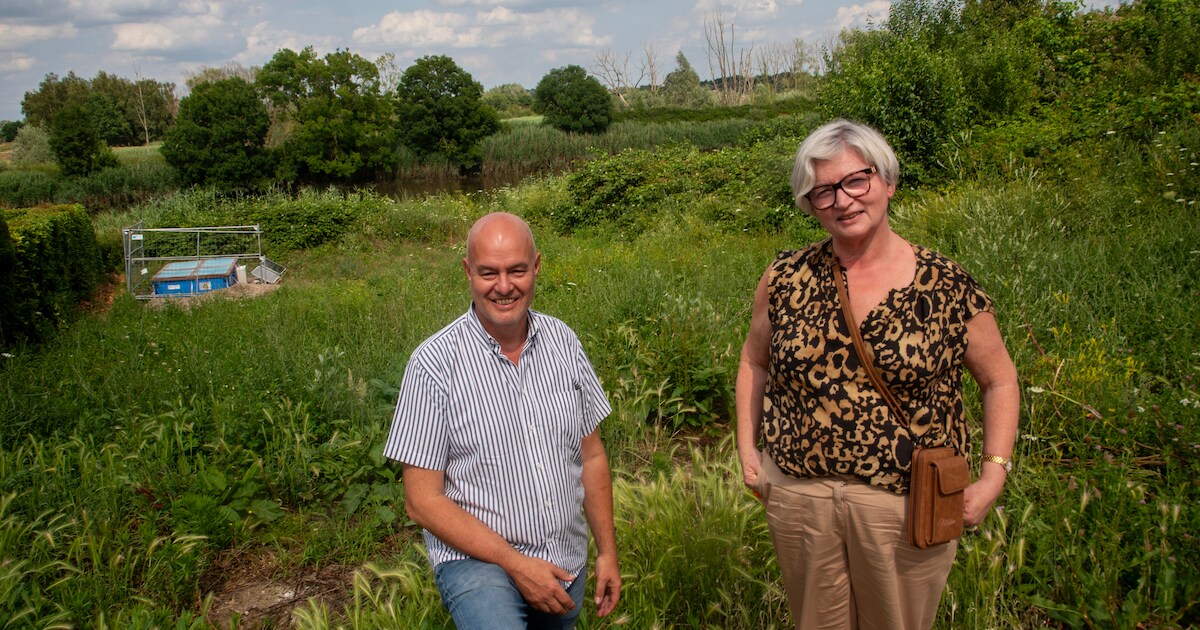 Bewoners van Scheldeoevers dagvaarden overheid om knijtenprobleem op te ...