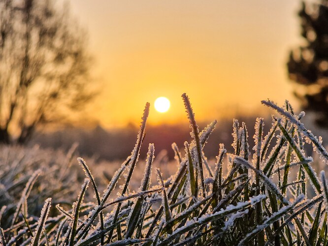 KMI waarschuwt opnieuw voor mist: code geel voor hele land vanaf 22 uur ...