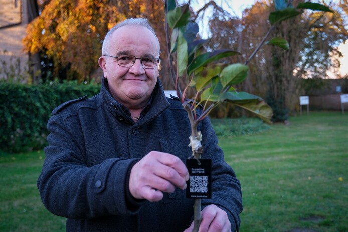 Verloren gewaand appelras ‘Suprême de Perck’ wordt na ruim 100 jaar ...