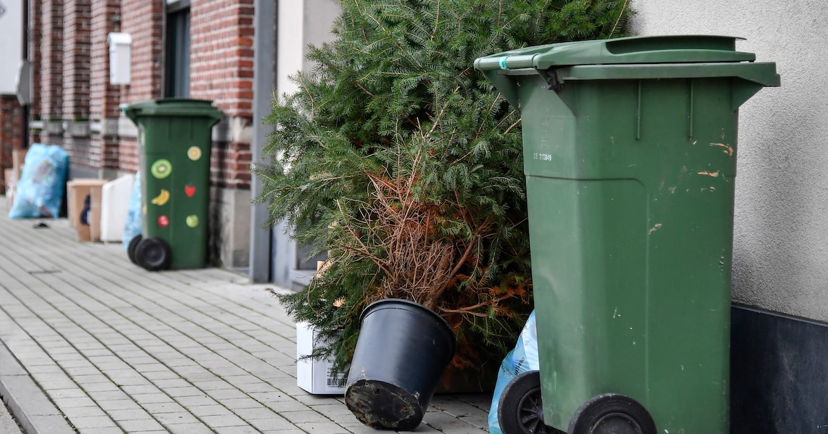 GFT-stickers 2024 beschikbaar | Regio | HLN.be
