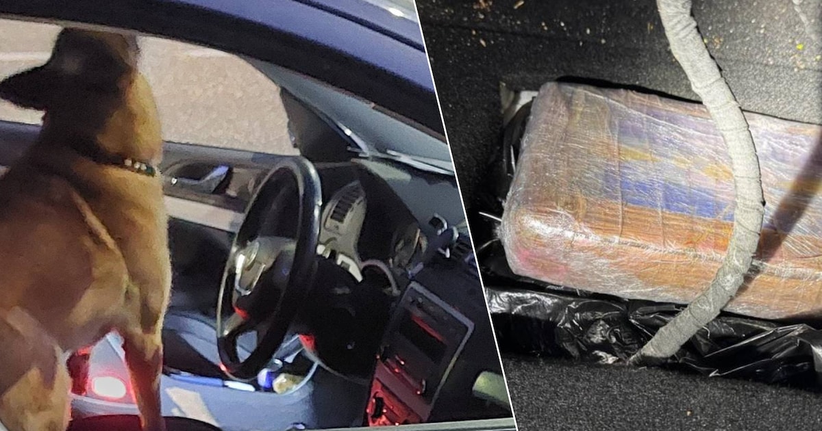 West-Vlaamse bende hielp voor 60 miljoen euro aan cocaïne verpatsen ...