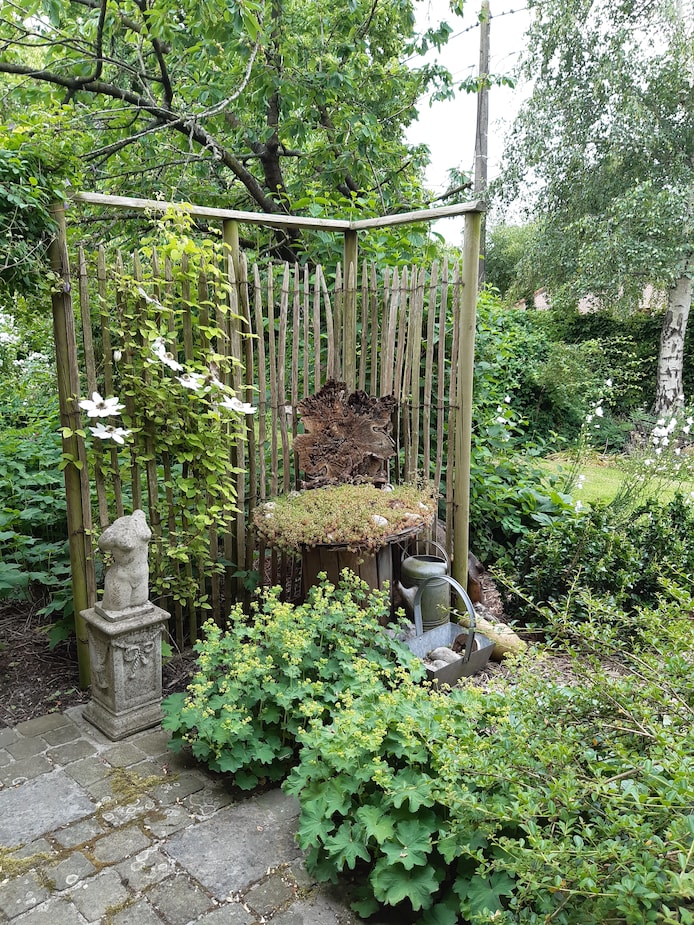 Ecologische tuinen ‘openen hun deuren’ voor Velt-ecotuindagen ...