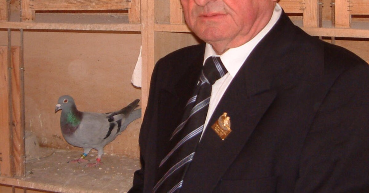 Duivenkampioen Etienne Devos overleden | Deerlijk | HLN.be
