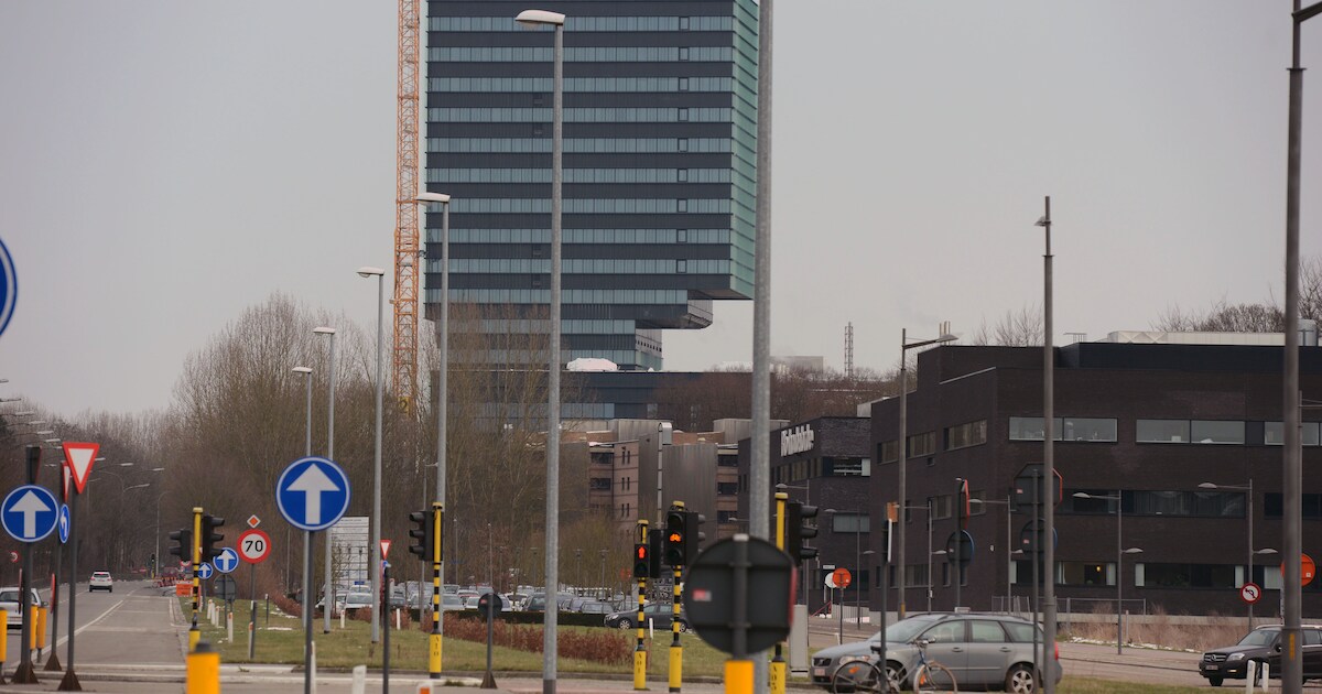 Vos overleeft klap na aanrijding door taxi op Koning Boudewijnlaan ...